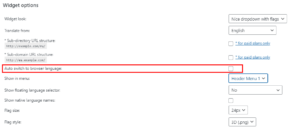 Introduction To WordPress Multilingual Website | Radius Media